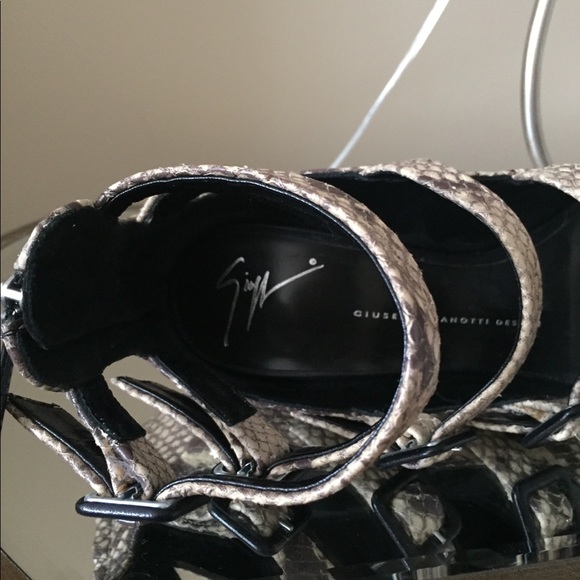 Giuseppe Zanotti | Shoes | Brand New Giuseppe Zanotti Snake Skin ...